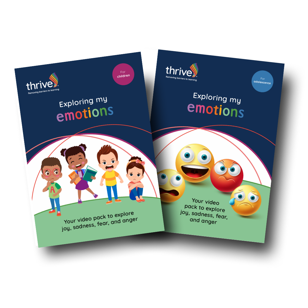 Exploring my emotions video packs